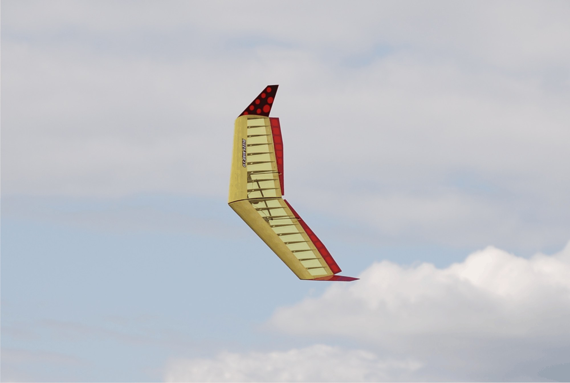 Wind-Werk Windspiele und Mehr - Bauanleitung Dizzybird